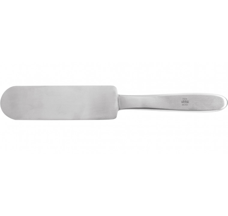 Stainless steel rasp, autoclave-compatible, chiropody treatment ...