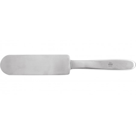 Stainless steel rasp, autoclave-compatible, chiropody treatment ...